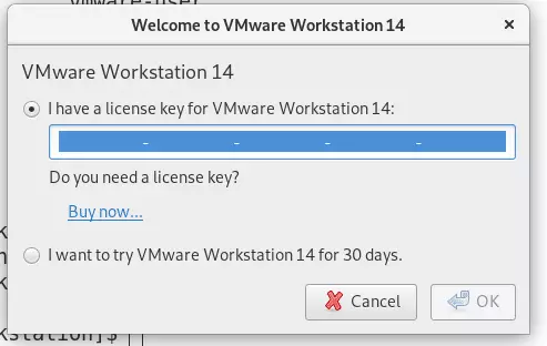 Cum se instalează VMware Workstation Pro 14 pe Arch Linux 8619_46