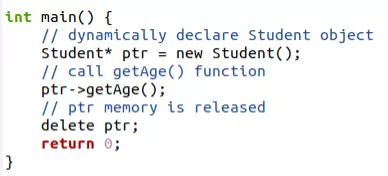 Dünaamiline mälu eraldamine C++ keeles 8754_7