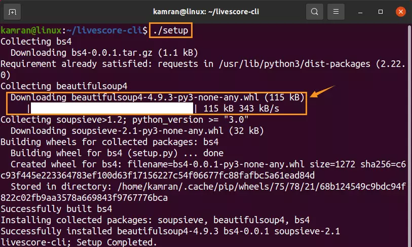 LiveScore-CLI no Ubuntu 20.04: obtenha resultados da Premier League e do futebol 8800_8