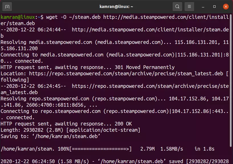 Kiel Instali Steam en Ubuntu 20.04 8803_13