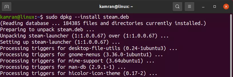 Giunsa ang Pag-install sa Steam sa Ubuntu 20.04 8803_14