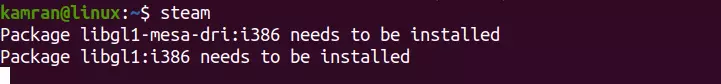 Kako namestiti Steam v Ubuntu 20.04 8803_15