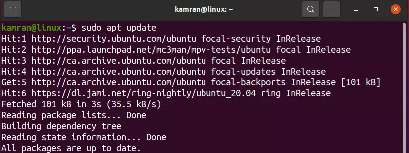 Ubuntu 20.04 ۋە Linux Mint 20 غا MPV Media Player نى قانداق ئورنىتىش كېرەك؟ 8805_6