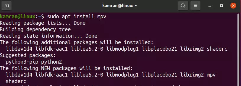 Jinsi ya kufunga MPV Media Player kwenye Ubuntu 20.04 na Linux Mint 20? 8805_7