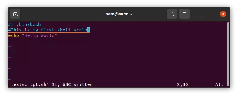 Come creare semplici script di shell in Linux usando Vim 880_5