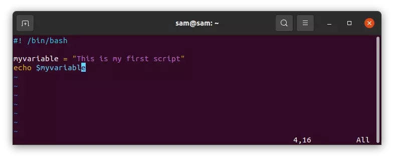 Come creare semplici script di shell in Linux usando Vim 880_6