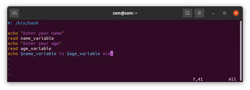 Come creare semplici script di shell in Linux usando Vim 880_8