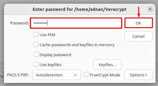 Ինչպես տեղադրել և օգտագործել veracrypt-ը Ubuntu 22.04-ում 8902_22