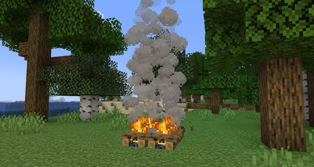 Cum să faci un foc de tabără în Minecraft 8957_8