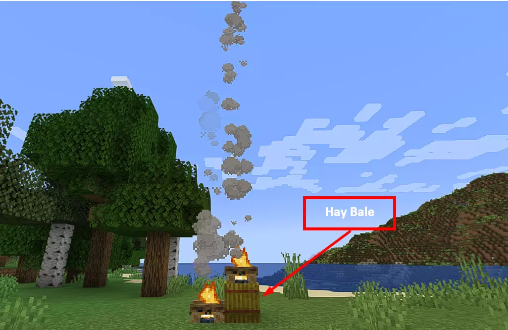 Cách tạo lửa trại trong Minecraft 8957_9