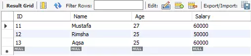 MySQL ಸೇರಿಸು ನಕಲಿ ಕೀಲಿಯನ್ನು ನಿರ್ಲಕ್ಷಿಸಿ 8990_11