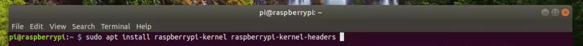 Come installare Docker su Raspbian OS 9042_10