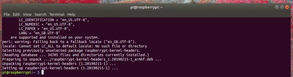 Come installare Docker su Raspbian OS 9042_12