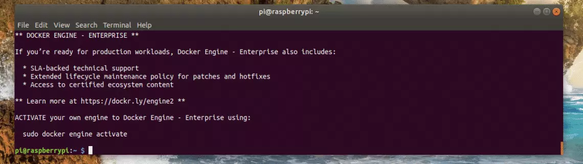 Come installare Docker su Raspbian OS 9042_15