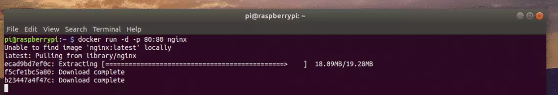 Come installare Docker su Raspbian OS 9042_21