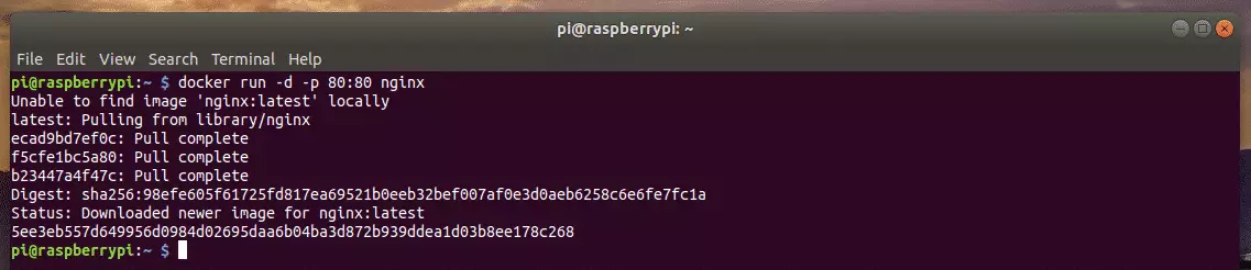 Come installare Docker su Raspbian OS 9042_22