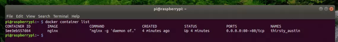 Come installare Docker su Raspbian OS 9042_23