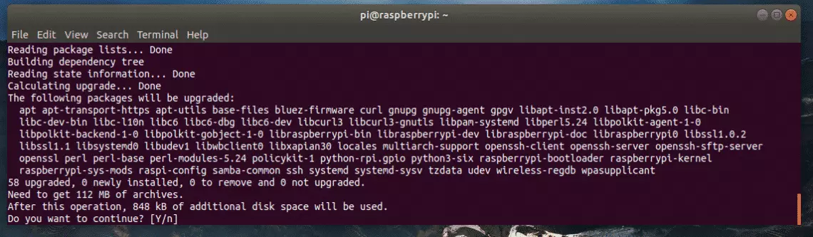 Come installare Docker su Raspbian OS 9042_7