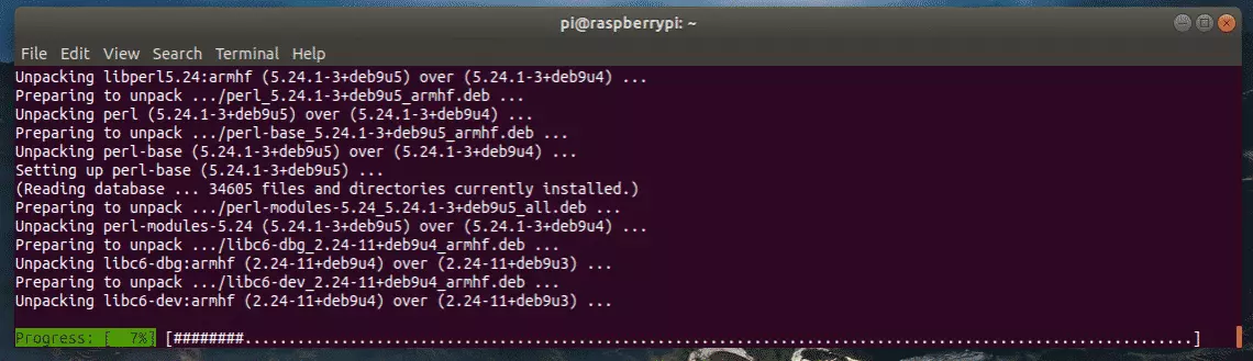 Come installare Docker su Raspbian OS 9042_8