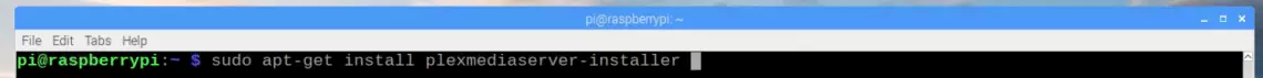 Raspberry Pi 3 මත Plex ස්ථාපනය කරන්න 9049_11