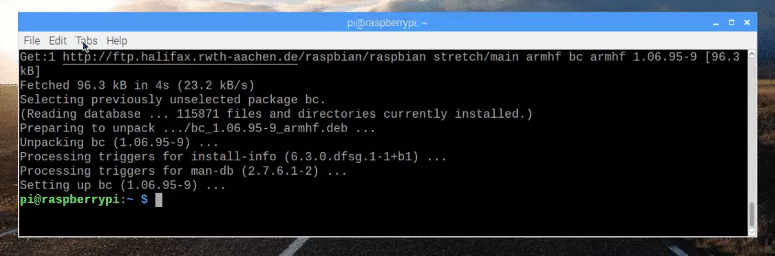 Pemantau Suhu Raspberry Pi 9050_16