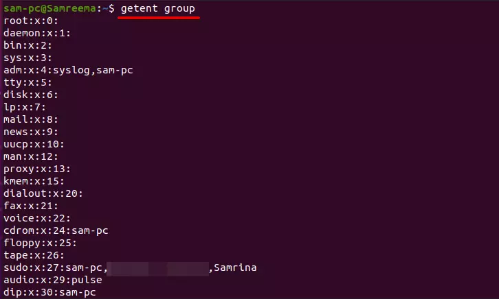 Ubuntu לייג באַניצער צו גרופע 9078_9