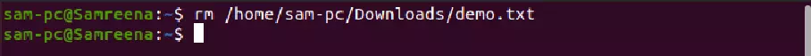 So löschen Sie eine Datei in Ubuntu 9081_2