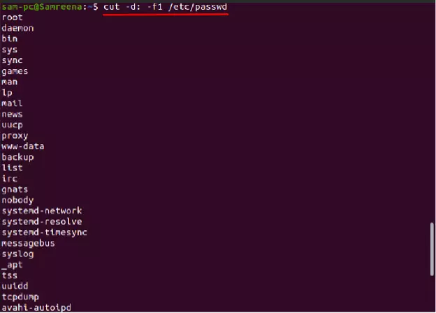 Lista alla användare i Ubuntu 9084_4