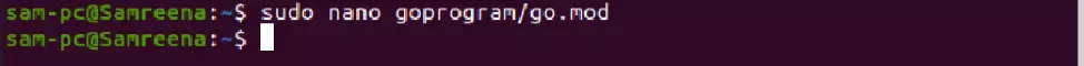 Yadda ake shigar Go akan Ubuntu 9087_12