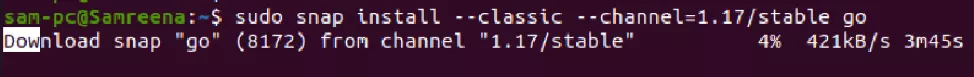 Yadda ake shigar Go akan Ubuntu 9087_9