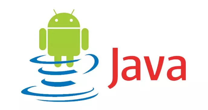 Python vs Java pikeun pamekar Babandingan 9111_9