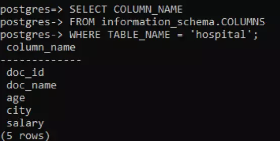 Hvordan beskriver jeg en tabel i PostgreSQL? 9133_12