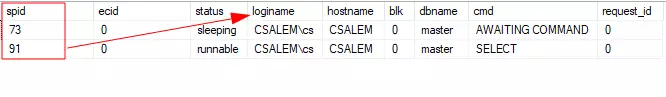 SQL సర్వర్ SPIDని చంపుతుంది 9171_2