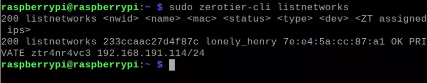 व्हर्च्युअल नेटवर्क तयार करण्यासाठी रास्पबेरी पाई वर ZeroTier कसे वापरावे 9229_18