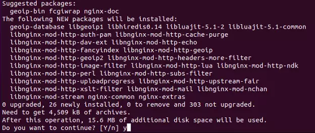 Nginx-extras Ubuntu ကို ထည့်သွင်းပါ။ 922_3