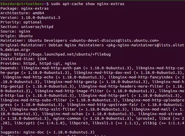 Fi sori ẹrọ Nginx-awọn afikun Ubuntu 922_4