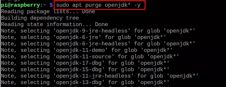 Πώς να εγκαταστήσετε το Java Development Kit ή το JDK σε ένα Raspberry Pi 9286_4