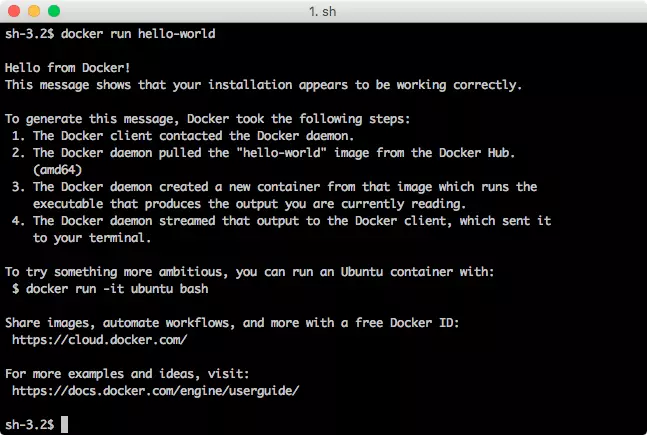 Installer Redis depuis Docker Hub 9291_3