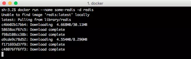 התקן את Redis מ- Docker Hub 9291_4