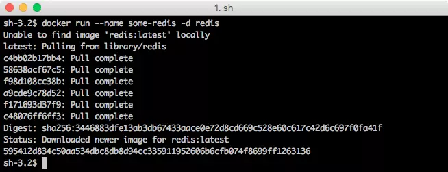 Տեղադրեք Redis-ը Docker Hub-ից 9291_5