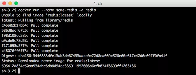 Installer Redis depuis Docker Hub 9291_5