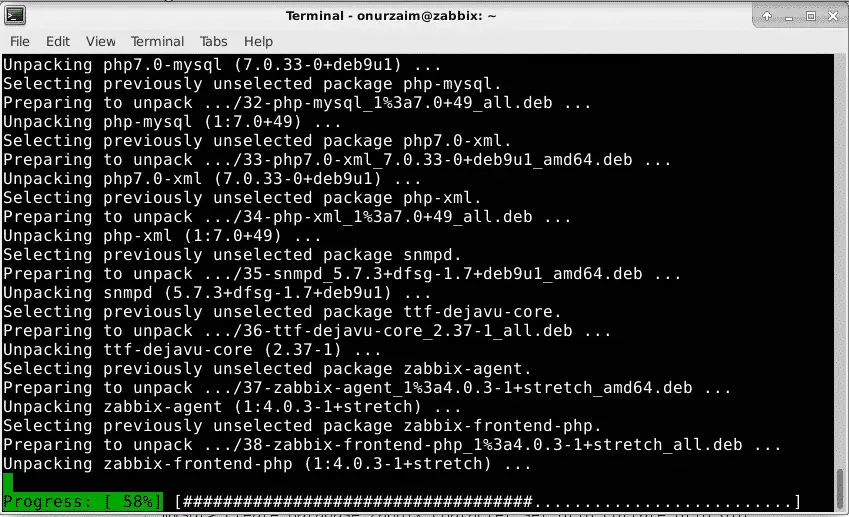 Debian 9.0 da Zabbix serverini sozlash 9490_10