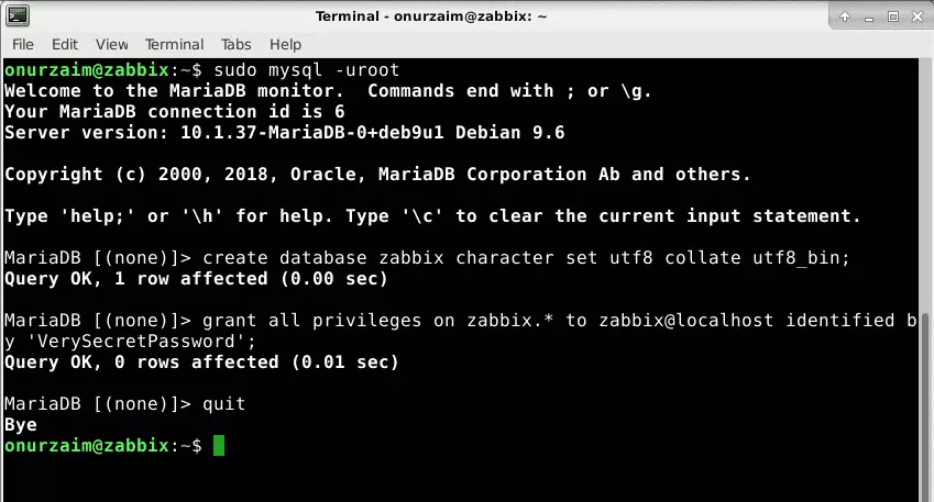 Gushiraho Zabbix Seriveri kuri Debian 9.0 9490_12