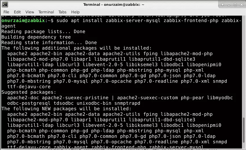Postavljanje Zabbix poslužitelja na Debian 9.0 9490_9