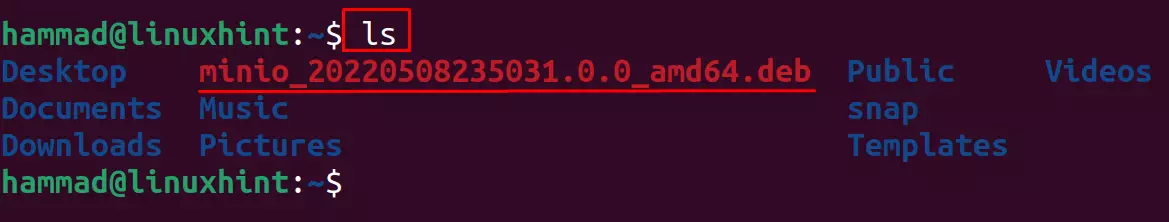 Cikakken Jagora don Sanya Minio Server da Abokin Ciniki akan Ubuntu 22.04 951_2