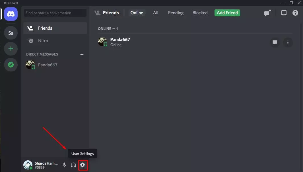 Sådan foretager du et videoopkald på Discord 9533_1