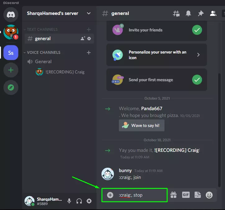 Discord အသံကို ဘယ်လို မှတ်တမ်းတင်မလဲ။ 9537_8