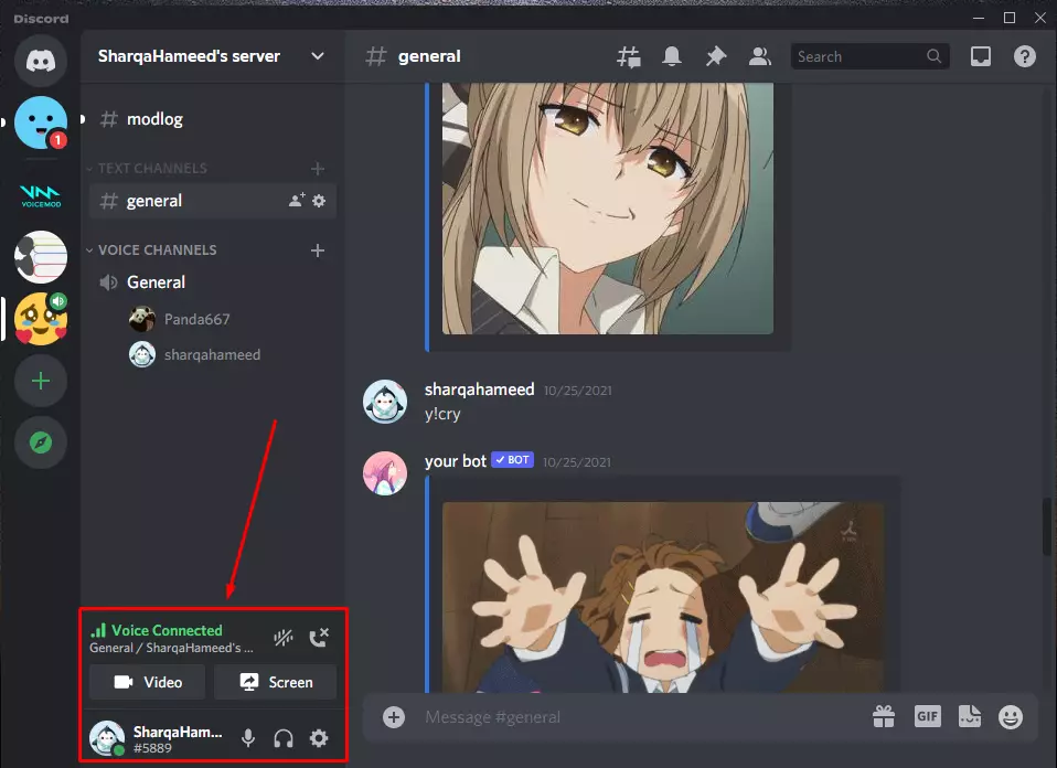 Sida loo isticmaalo boorsada codka leh Discord 9544_29