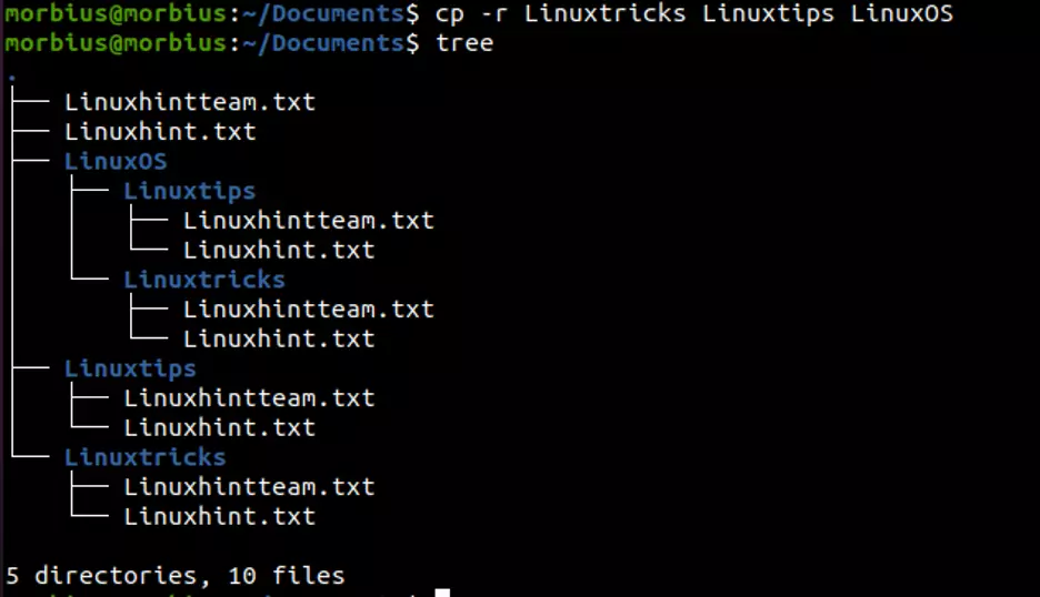 Linux で CP を使用して複数のファイルをコピーする方法 9551_6