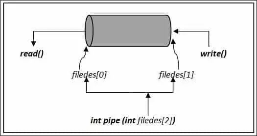 Com utilitzar la funció pipe en llenguatge C 9572_1